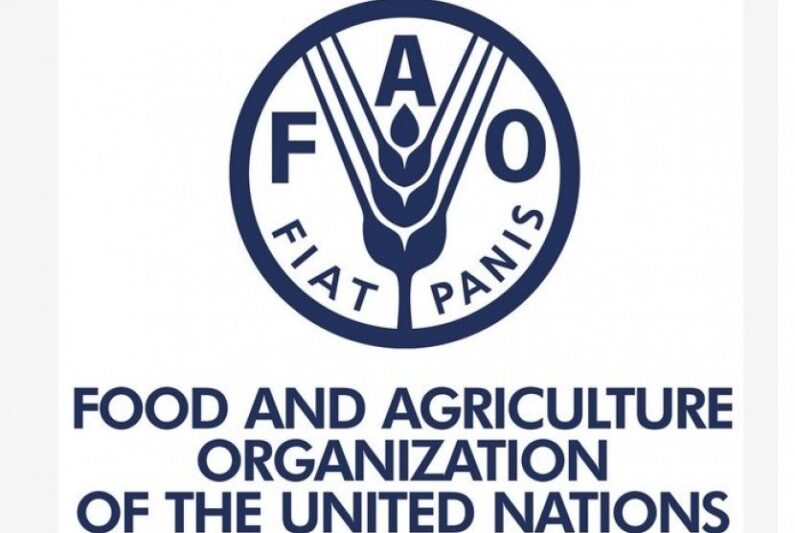 FAO Organisasi Internasional: Mengenal Pengertian Tujuannya